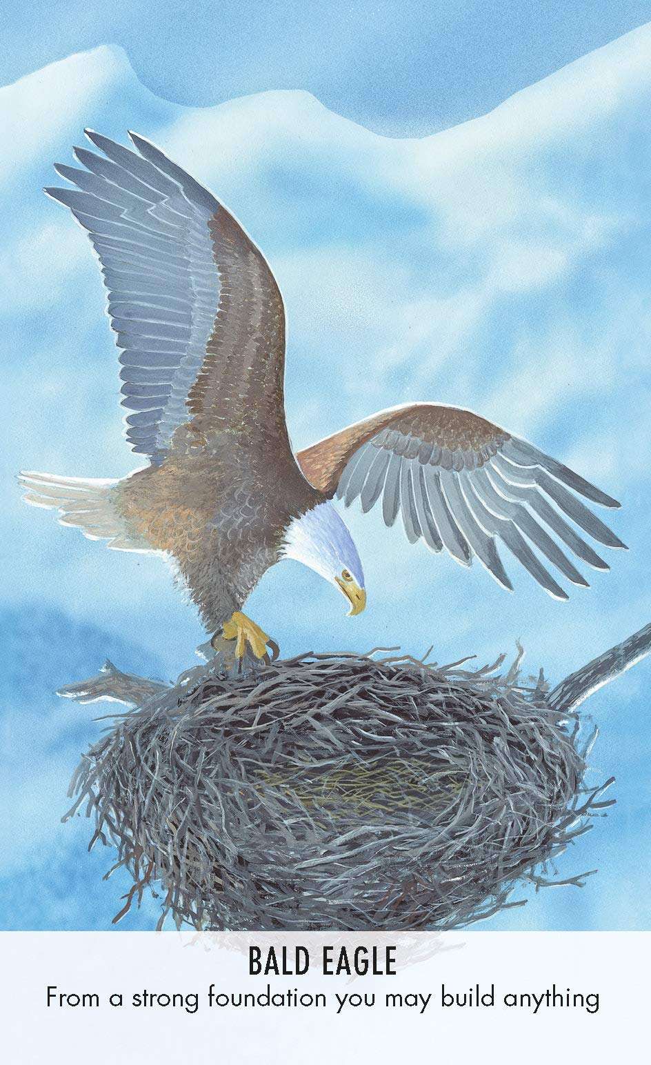 BIRD MESSAGES – deep books
